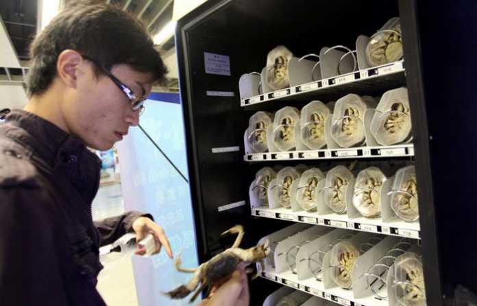 14 Weirdest & Coolest Vending Machines Ever | Geniusbeauty
