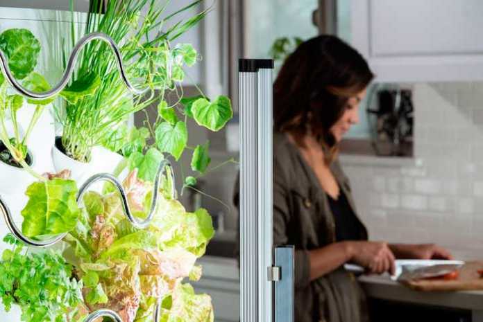 Vertical Indoor Garden Iharvest Grows Veggies Twice as Fast | Geniusbeauty